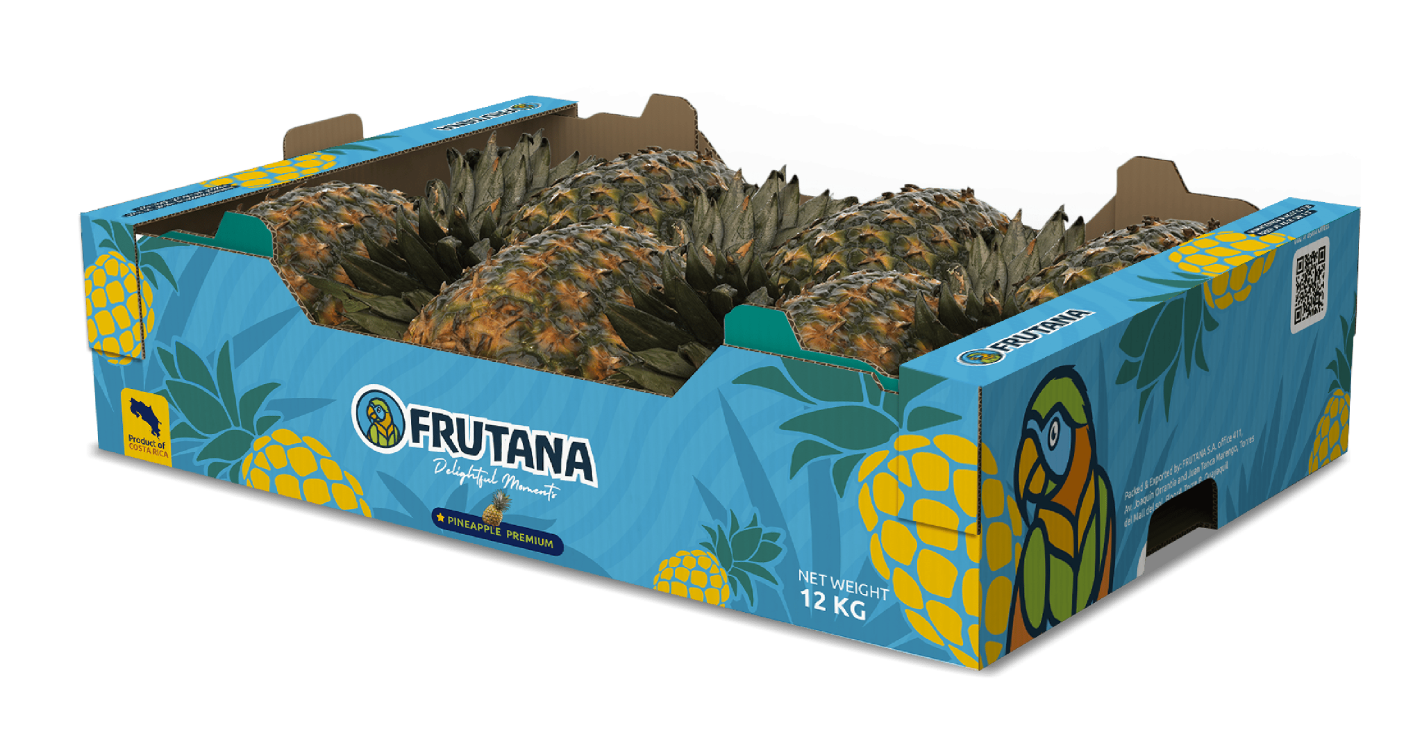 Piña – FRUTANA® S.A. Banana and pineapple export